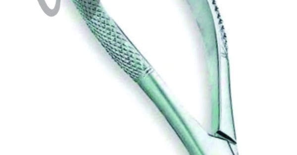 FORCEP ADULTO 62
