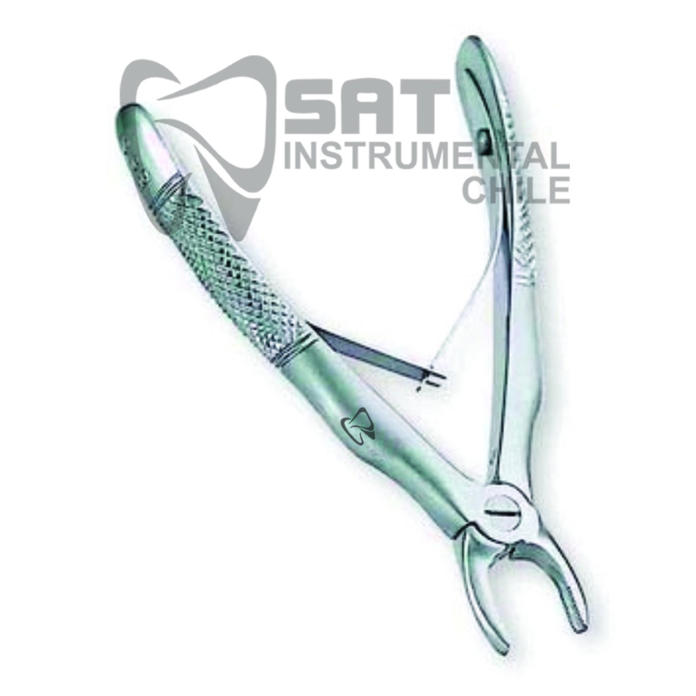 INSTRUMENTAL PARA EXODONCIA